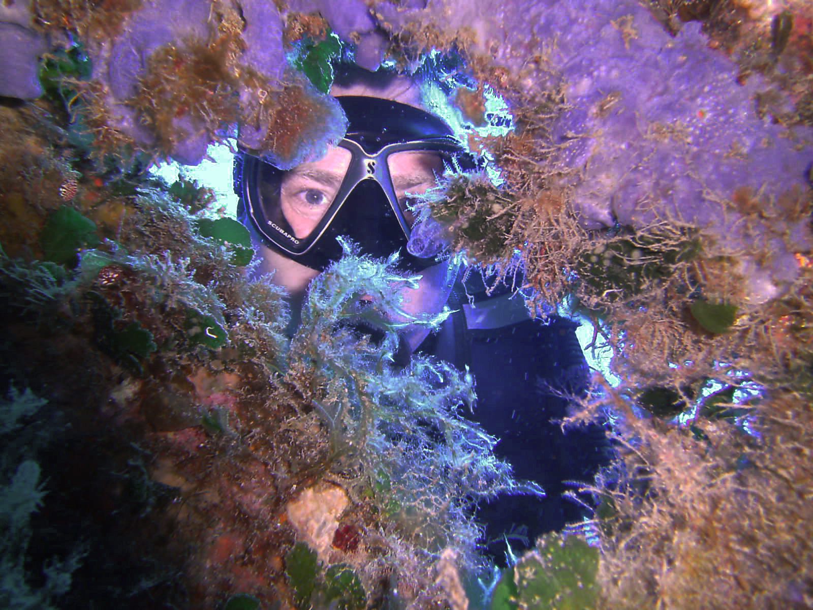 Scuba Review | Mykonos Diving Center | Diving Course